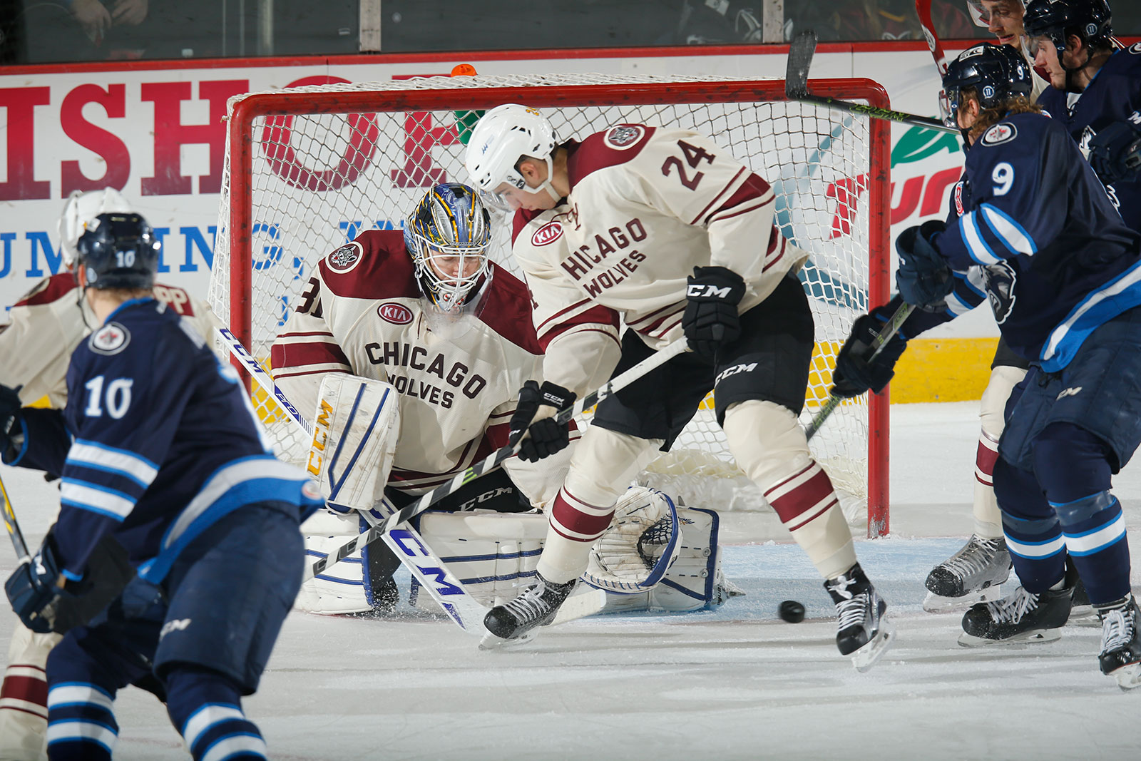 COPLEY REASSIGNED TO ST. LOUIS - Chicago Wolves