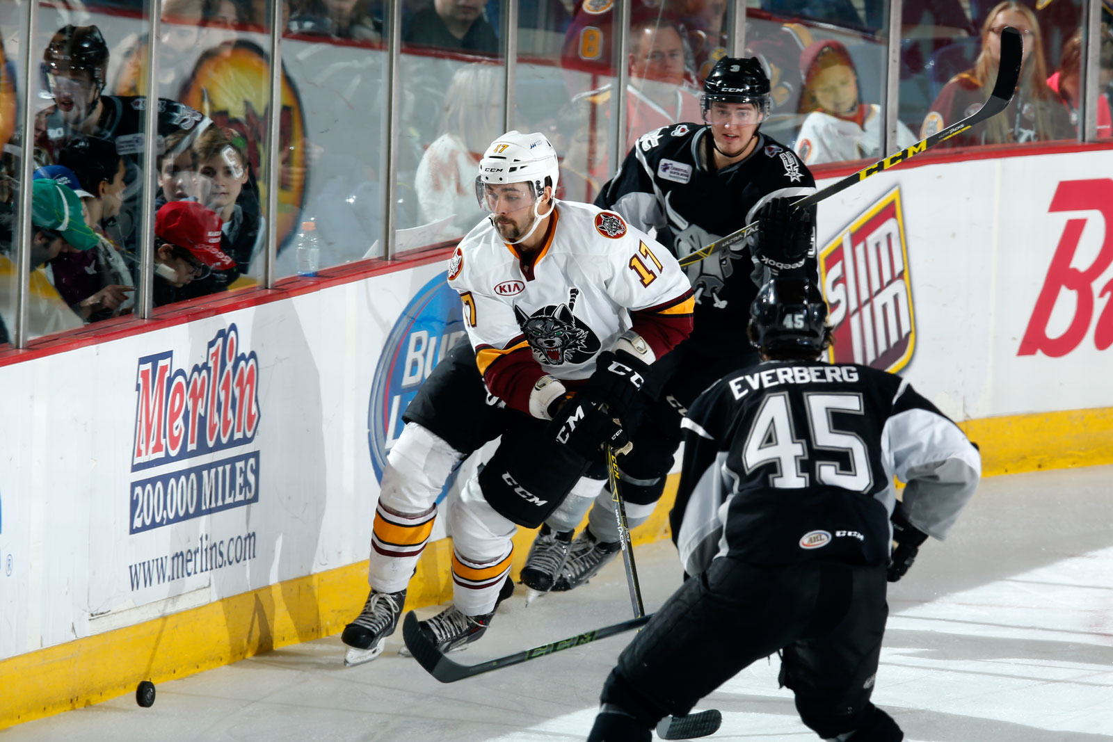 CHICAGO WOLVES WEEKLY PRESS NOTES, Nov. 30-Dec. 6 - Chicago Wolves