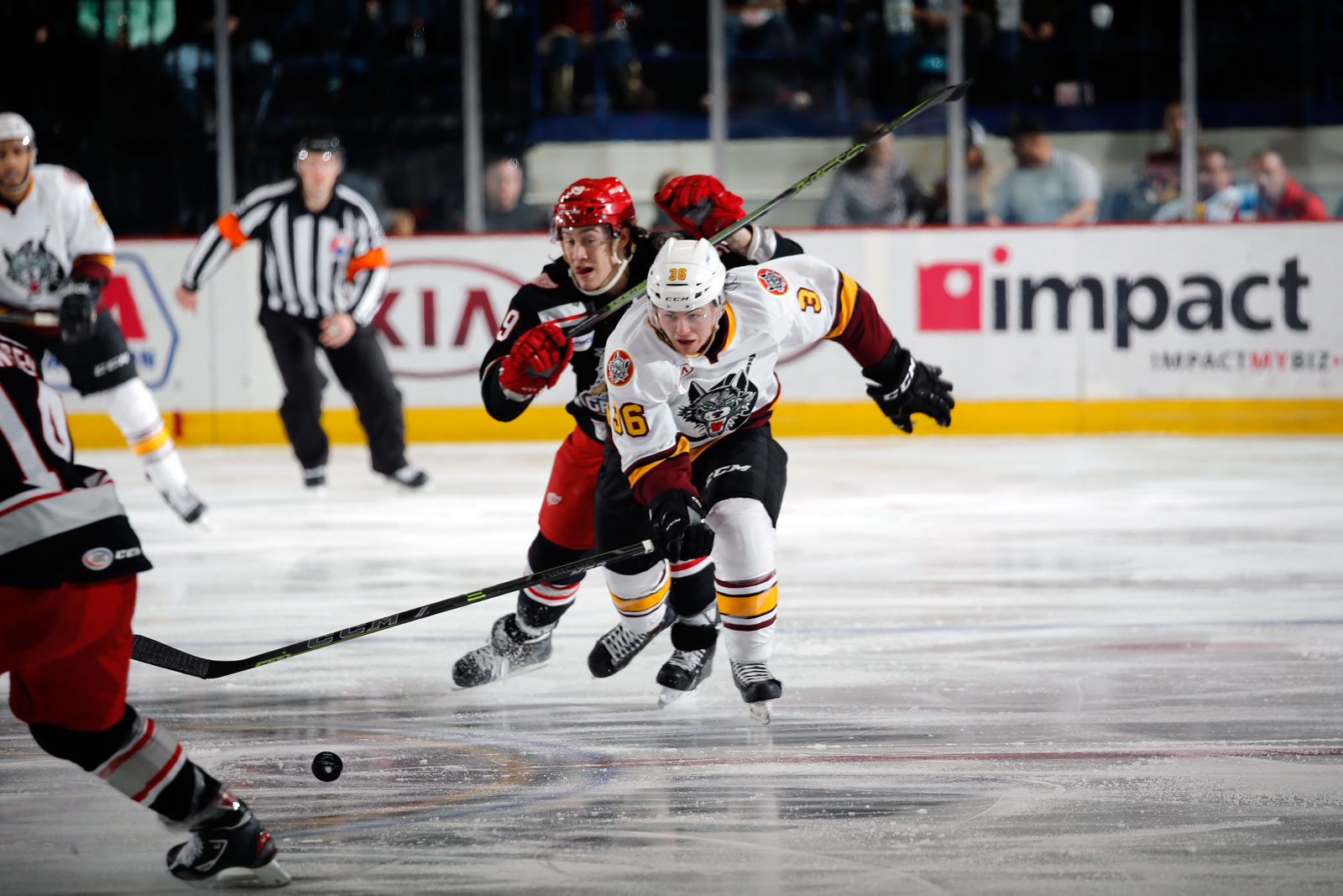 WOLVES SIGN CLARK FOR 2016-17 SEASON - Chicago Wolves