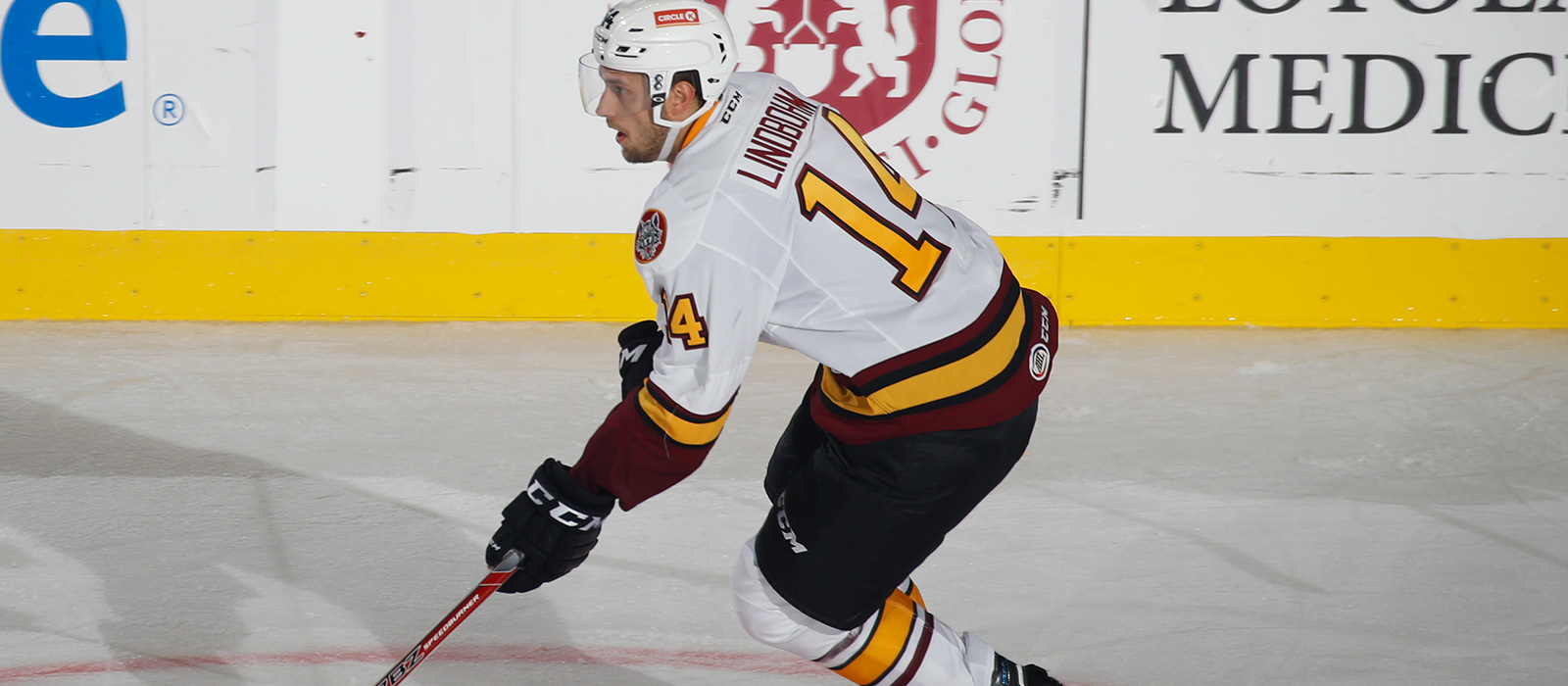Lindbohm Back to Wolves - Chicago Wolves