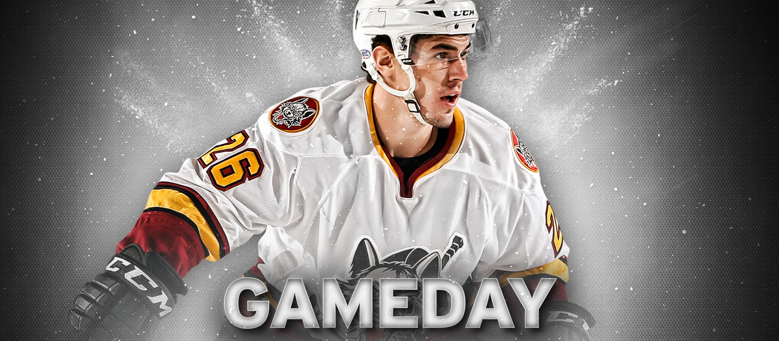 Tale of the Tape: Dec 28, 2016 at Rockford - Chicago Wolves