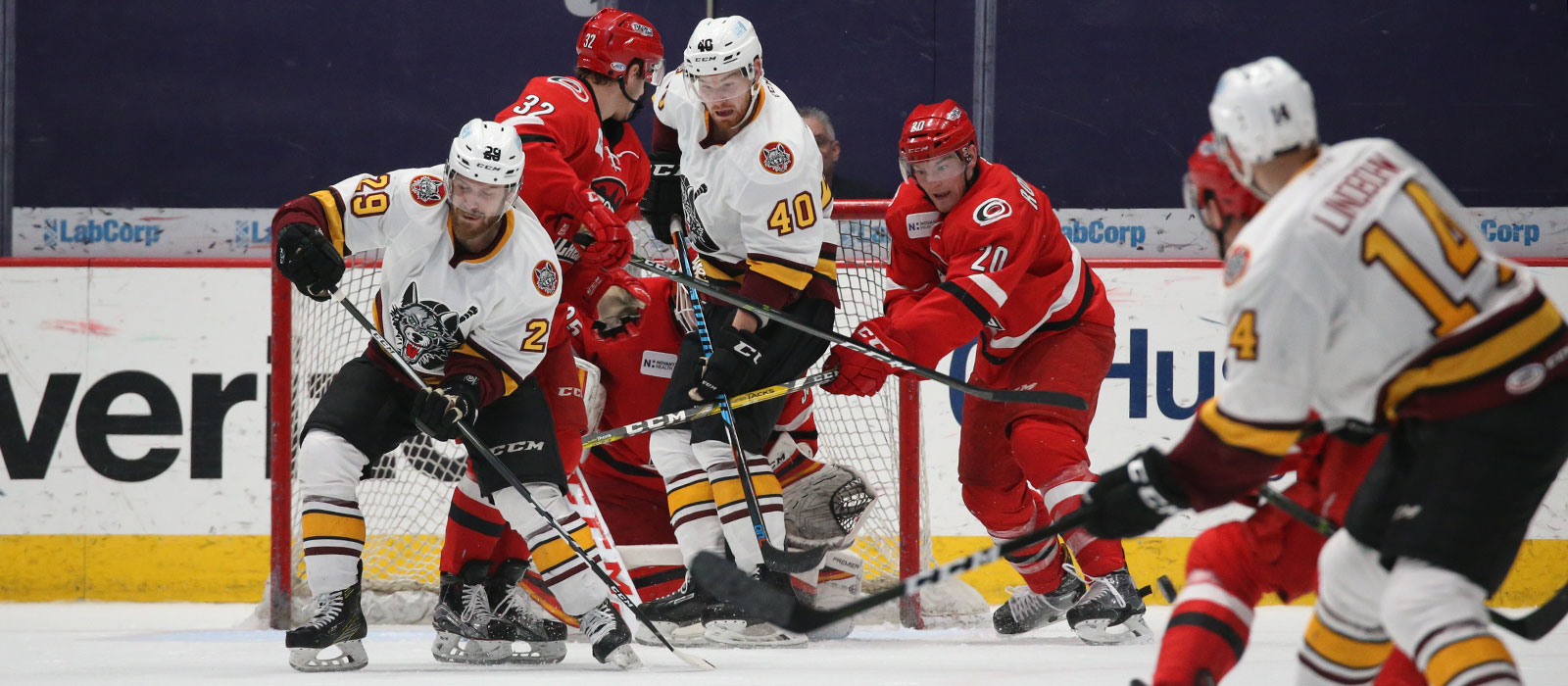 Wolves Gain Another Point in Shootout Loss to Checkers - Chicago Wolves