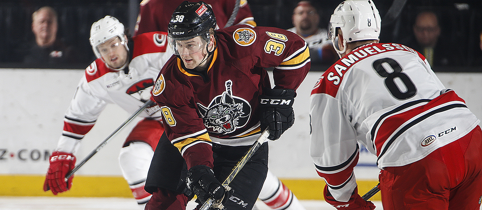 Wolves Set to Open Calder Cup Playoffs Against Charlotte - Chicago Wolves