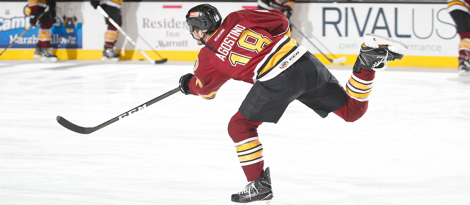 Agostino Named AHL's Most Valuable Player - Chicago Wolves