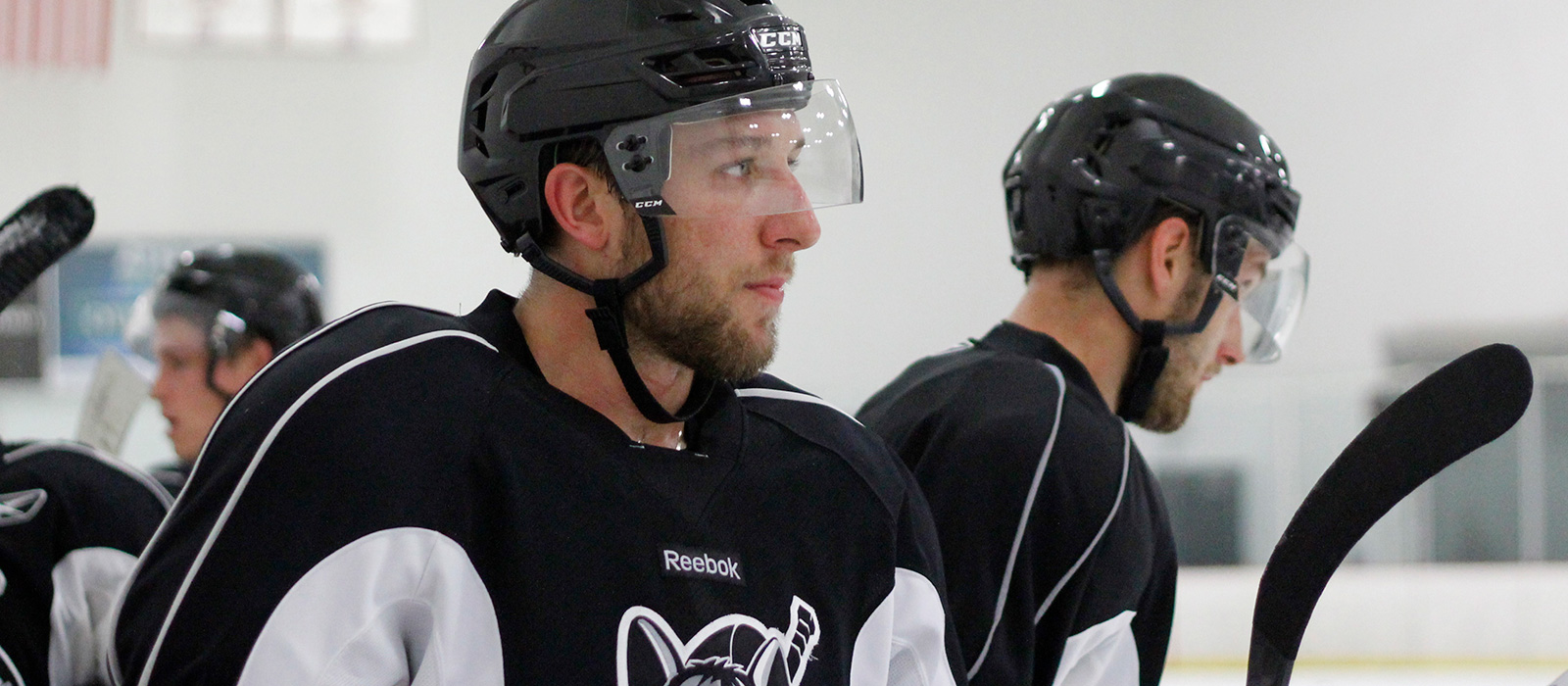 Matteau Added to Wolves Roster - Chicago Wolves