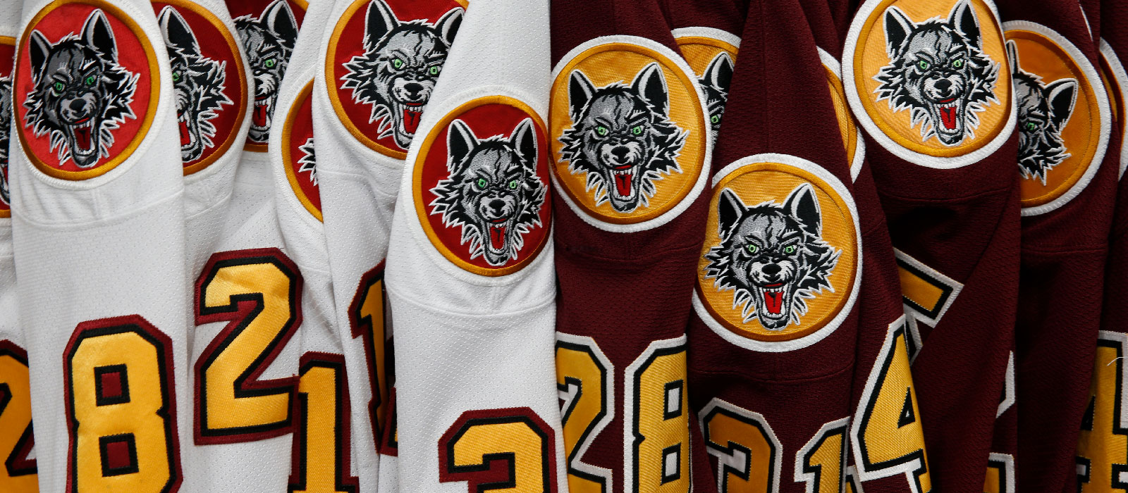 Chicago Wolves Launch New Brand with “Last Team Standing” Campaign for ...