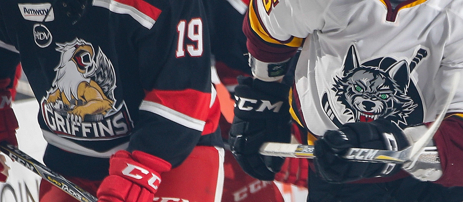 Wolves reveal foe for 25th anniversary season home opener - Chicago Wolves