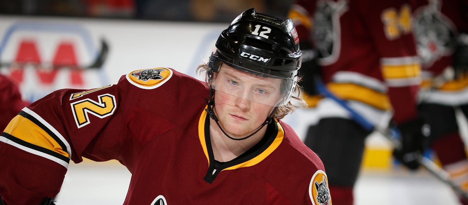 Wolves welcome Wagner, Weis and Gallant - Chicago Wolves