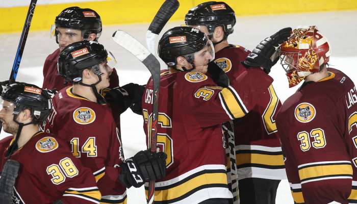 Press Releases - Chicago Wolves Hockey
