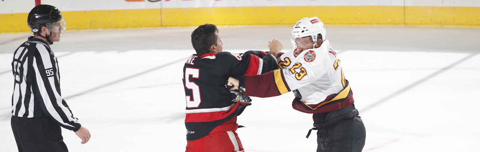 Insider: The battle begins! - Chicago Wolves