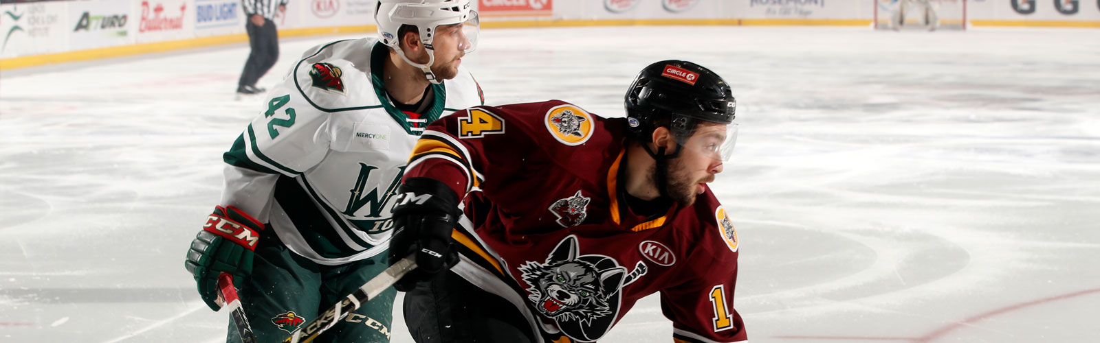 Gallery: May 2 vs. Iowa Wild - Chicago Wolves