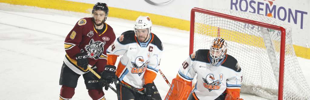 Wolves welcome three vets with NHL experience