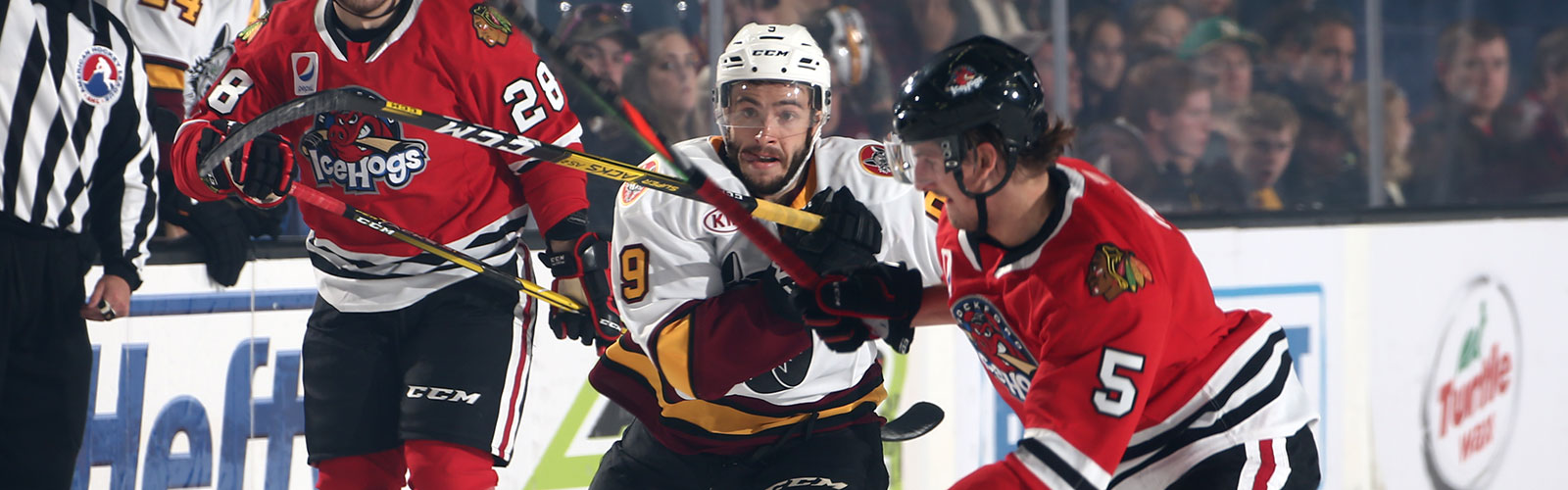 Gallery: Oct. 19 vs. Rockford IceHogs - Chicago Wolves