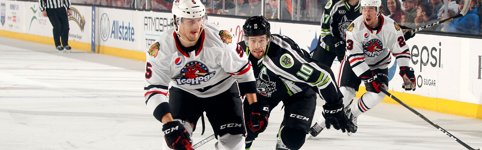 Game Highlights: Nov. 10 vs. Rockford IceHogs - Chicago Wolves