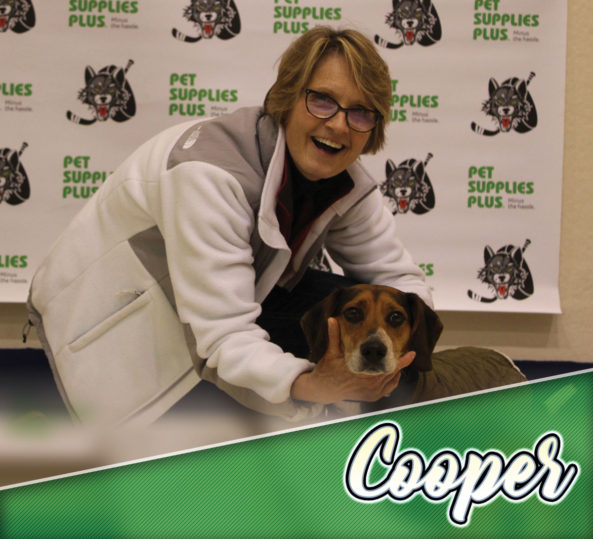 Dog Adoption Stories - November 2019 - Chicago Wolves