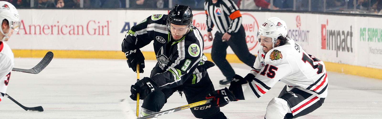Gallery: March 8 vs. Rockford IceHogs - Chicago Wolves