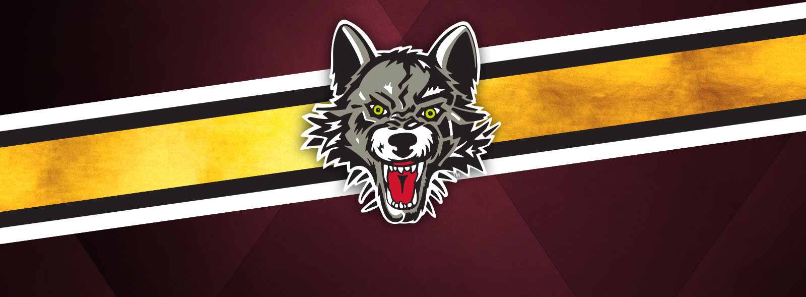 Donation Request Policy | Illinois Charities - Chicago Wolves