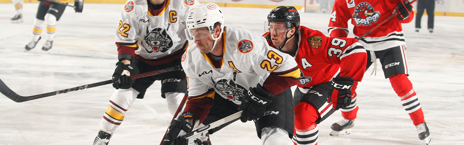 Gallery: Nov. 20 vs. Rockford IceHogs - Chicago Wolves