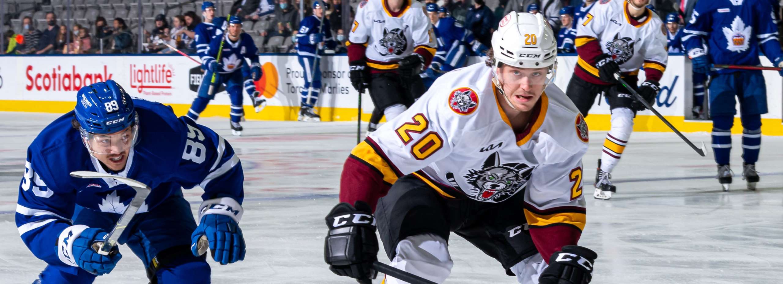 Wolves' 12-game point streak ends