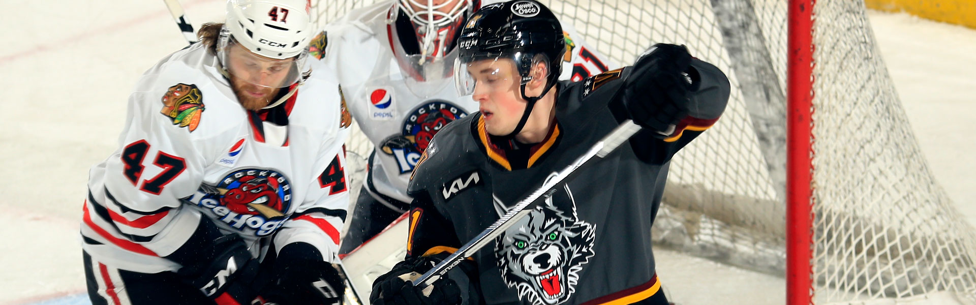 Gallery: April 19 vs. Rockford IceHogs - Chicago Wolves