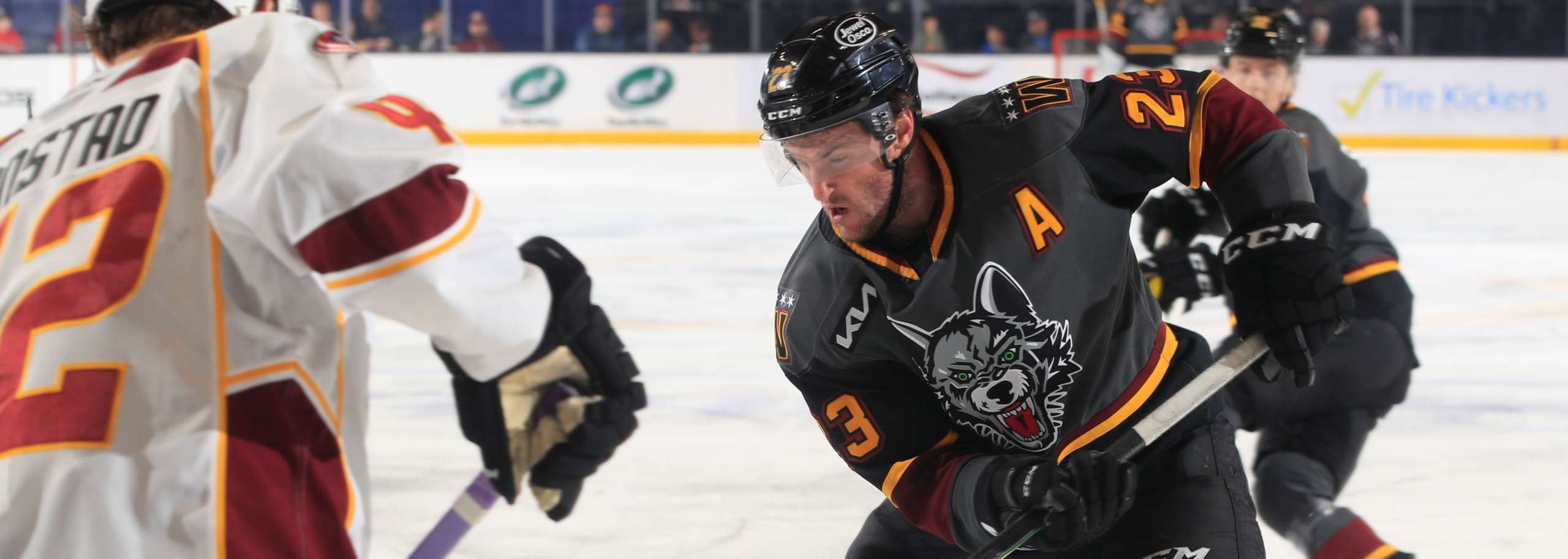 Wolves whiz past Monsters