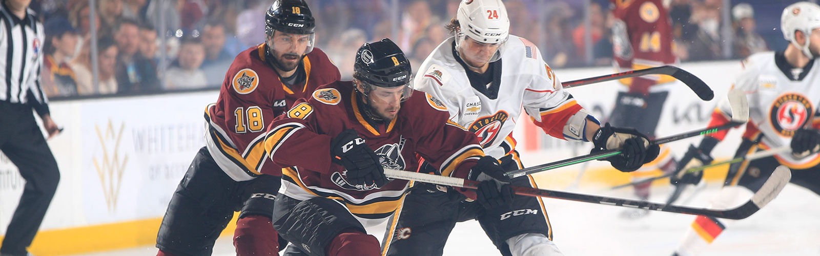 Game Highlights: June 6 vs. Stockton Heat - Chicago Wolves