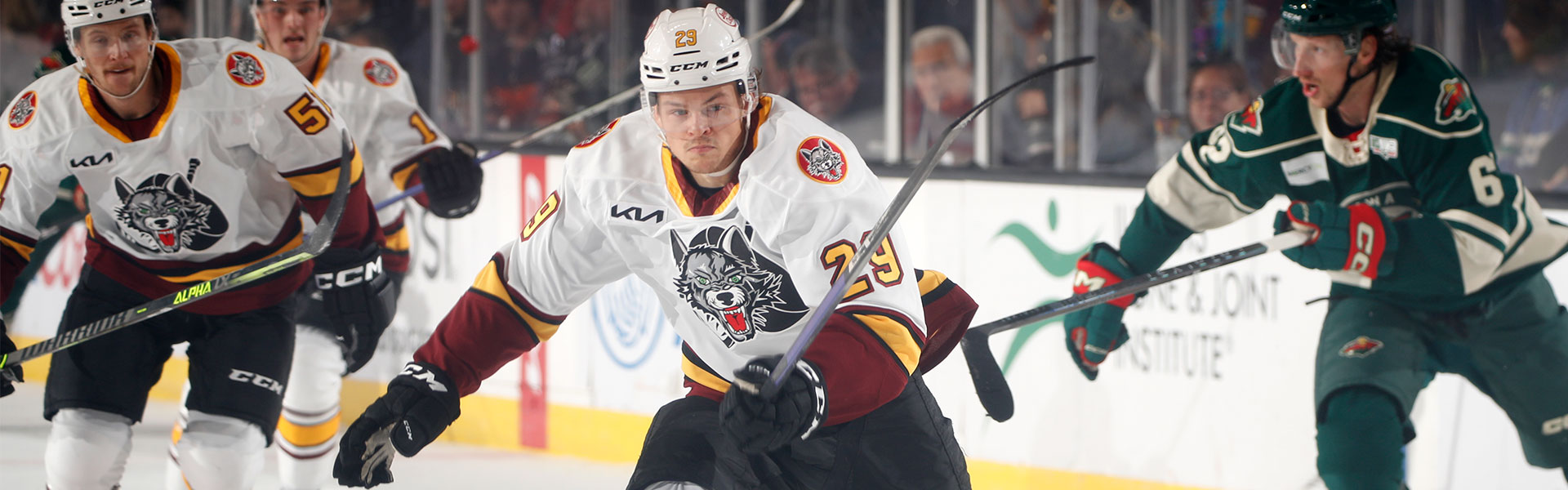 Gallery: Nov. 12 vs. Iowa Wild - Chicago Wolves