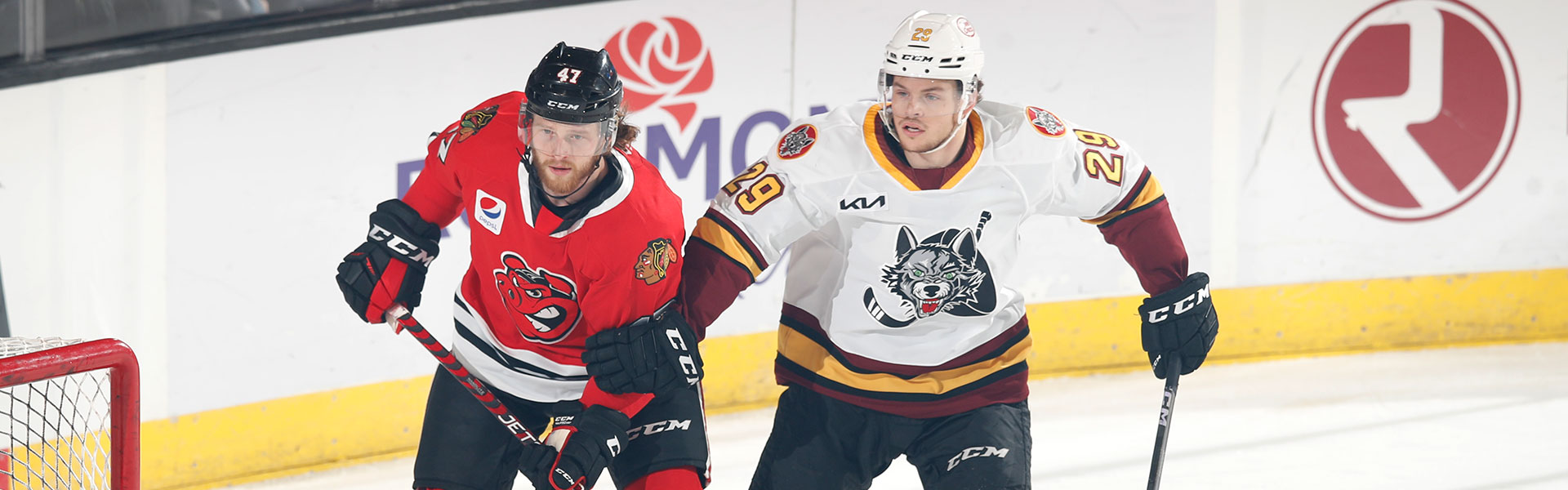 Gallery: Dec. 23 vs. Rockford IceHogs - Chicago Wolves