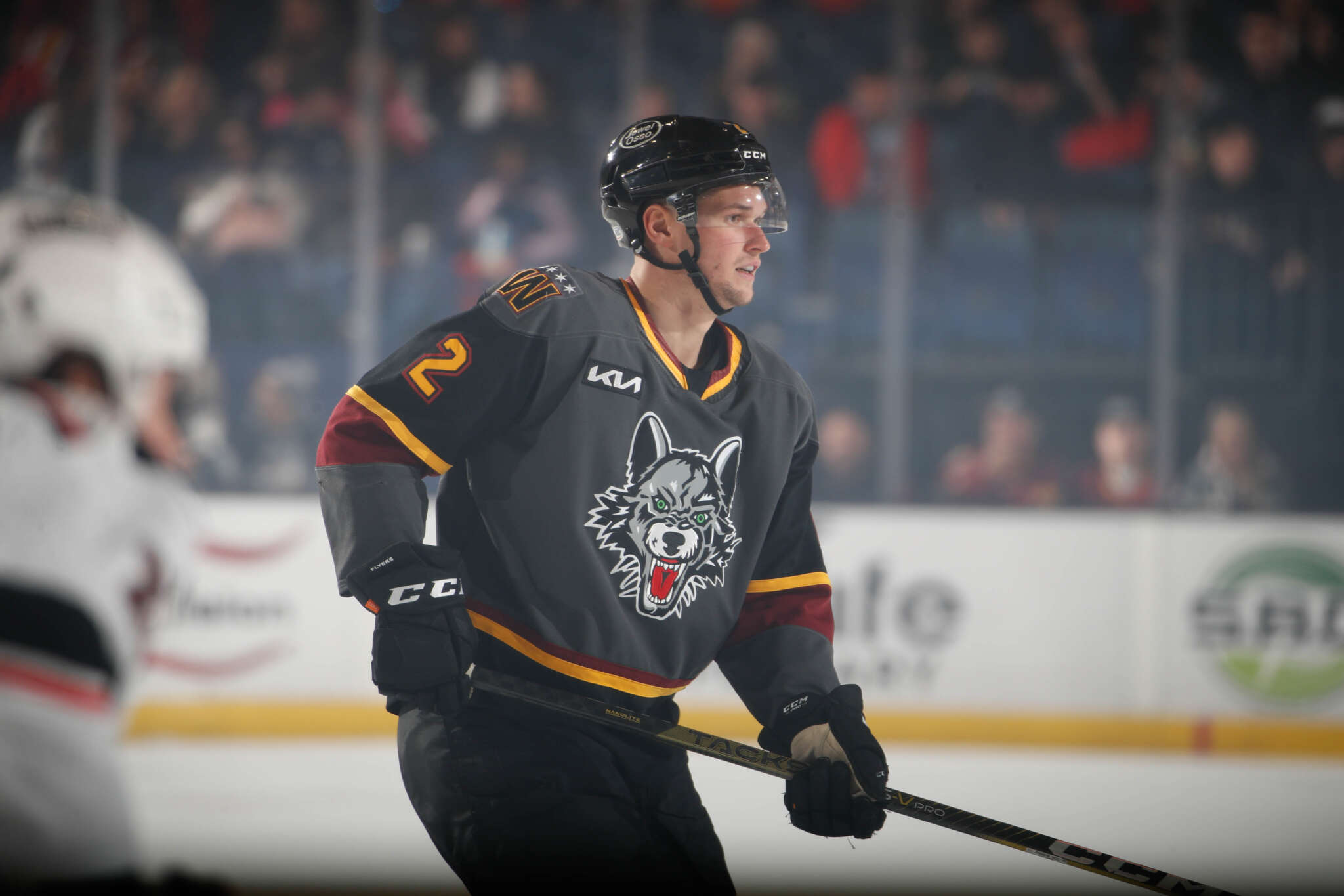 Shea's Whirlwind - Chicago Wolves