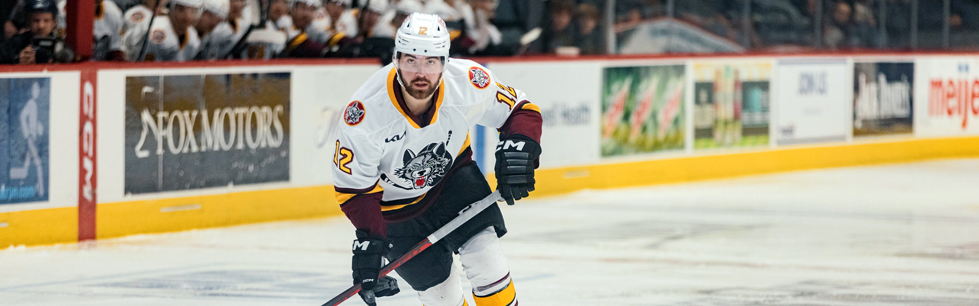 Wolves Fall to Griffins 6-3 to Open Road Trip - Chicago Wolves