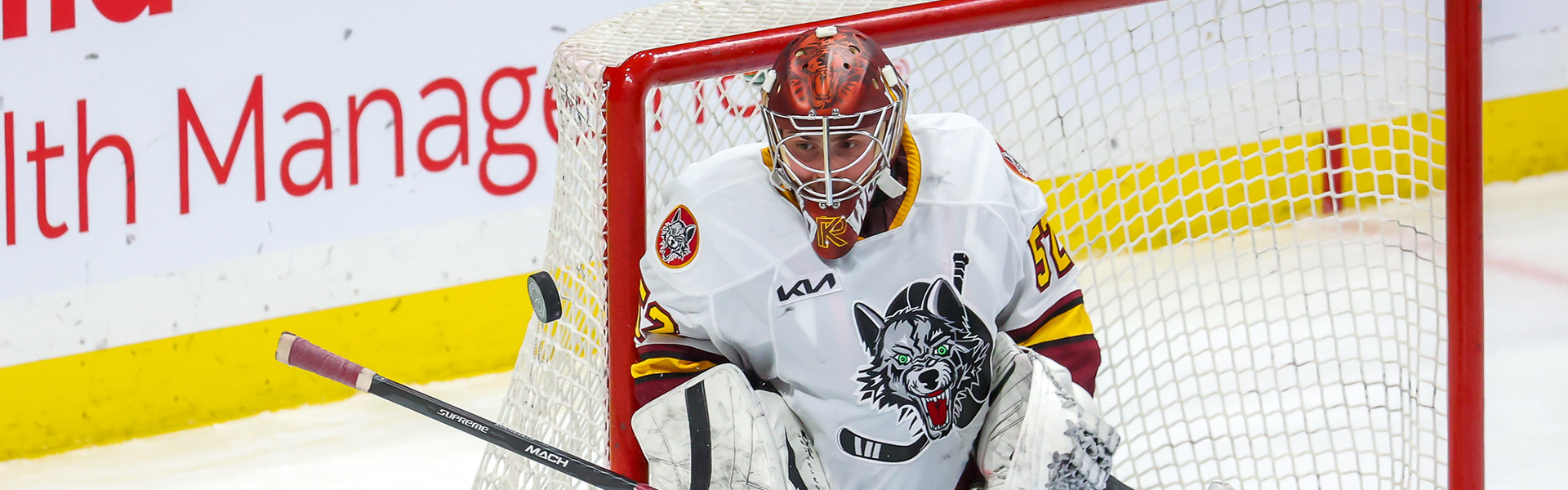 Wolves’ 3-game Win Streak Snapped by Moose 5-3 - Chicago Wolves