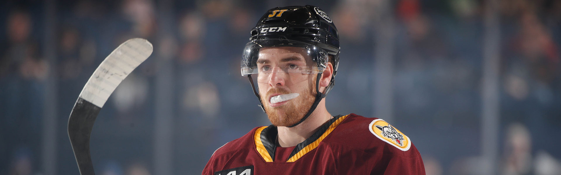 Part 1: Catching Up With ... Wolves Forward Josh Melnick - Chicago Wolves