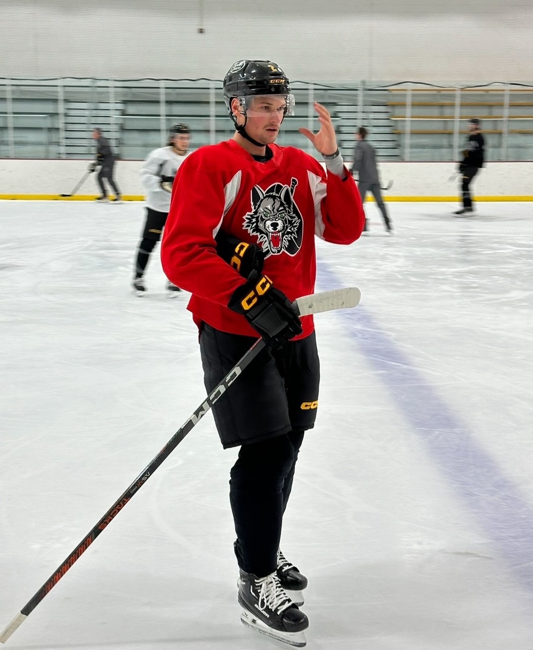 MENDEL ON THE MEND - Chicago Wolves