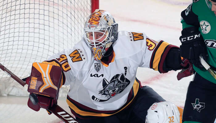 Game Galleries | Chicago Ice Hockey Games - Chicago Wolves