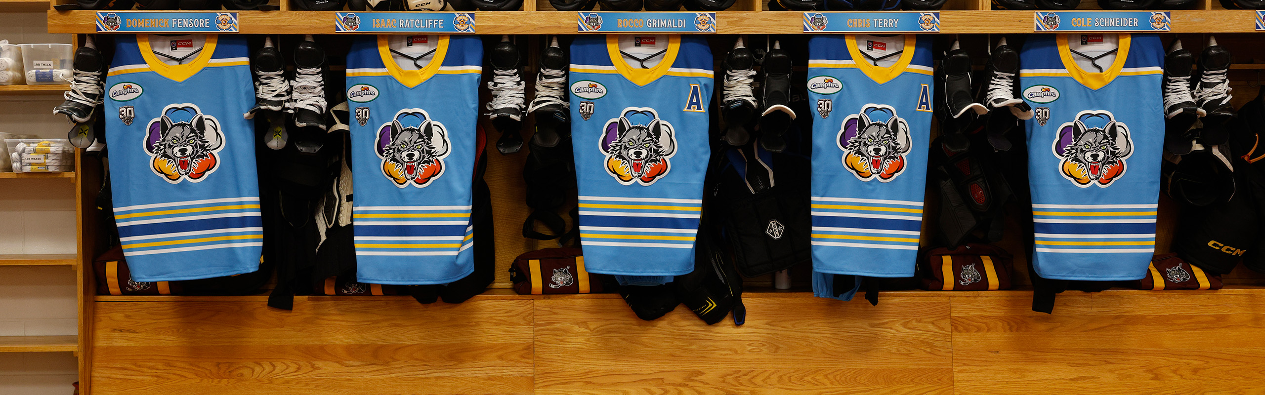 Dementia Awareness - Chicago Wolves