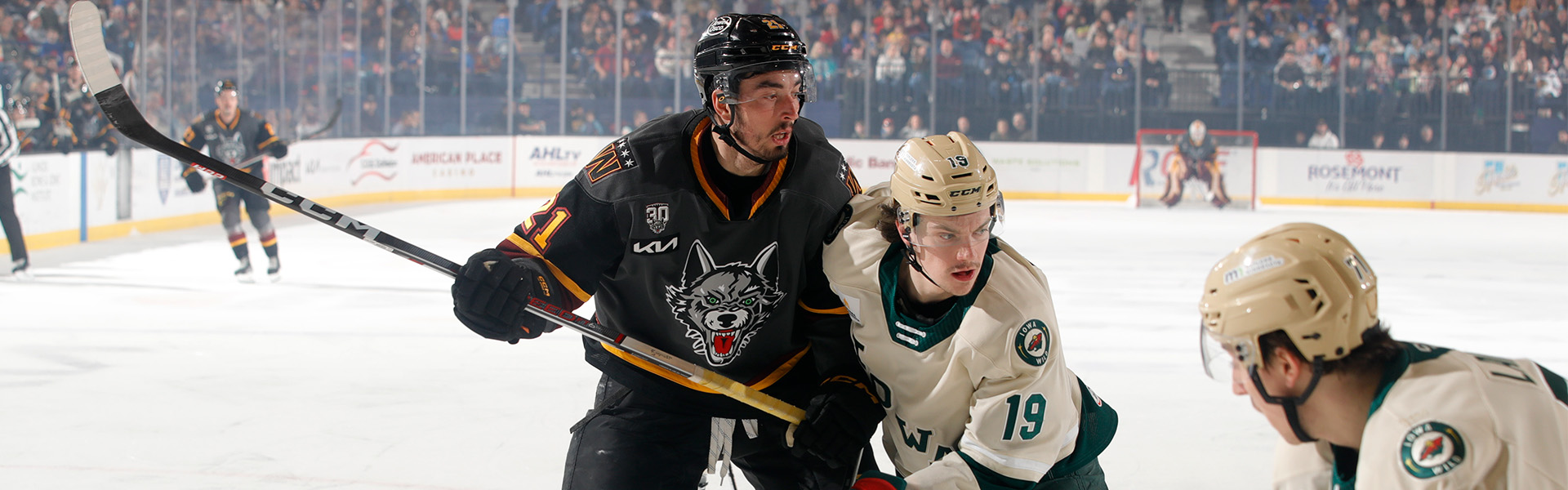 Gallery: Feb. 25 vs. Iowa Wild - Chicago Wolves