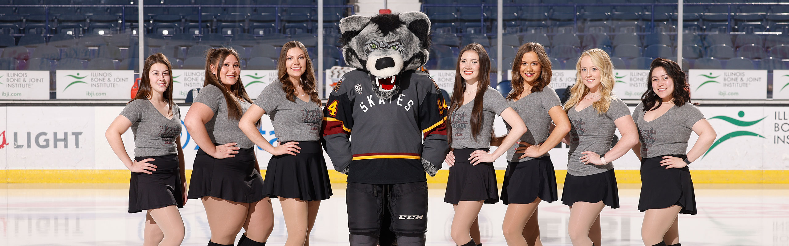 Meet Skates' Wolf Pack | Chicago Ice Hockey - Chicago Wolves
