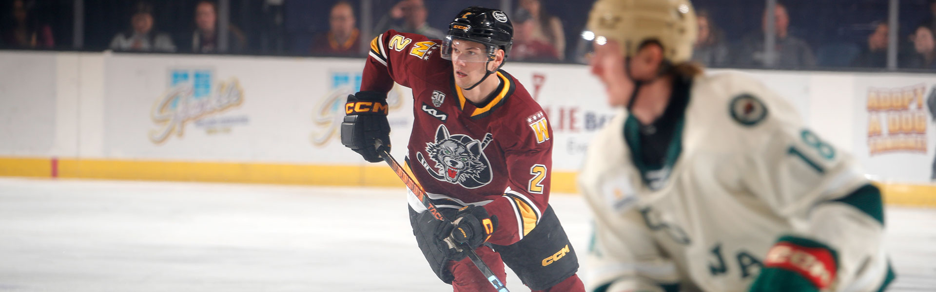 Gallery: April 20 vs. Iowa Wild - Chicago Wolves
