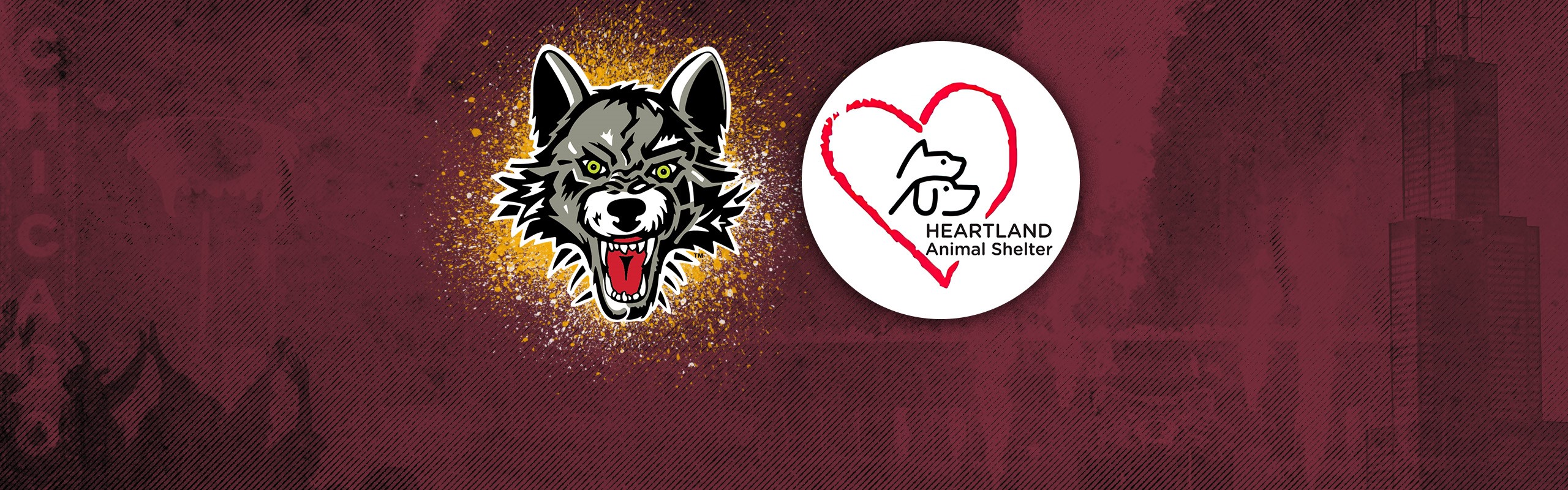 WOLVES LEND HELPING HAND TO HEARTLAND ANIMAL SHELTER - Chicago Wolves