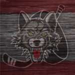 Free Desktop Wallpapers & Downloads - Chicago Wolves