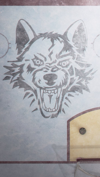 Free Desktop Wallpapers & Downloads - Chicago Wolves