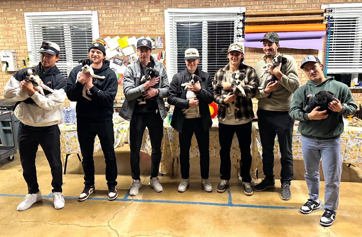 SUZUKI STAYS STRONG - Chicago Wolves