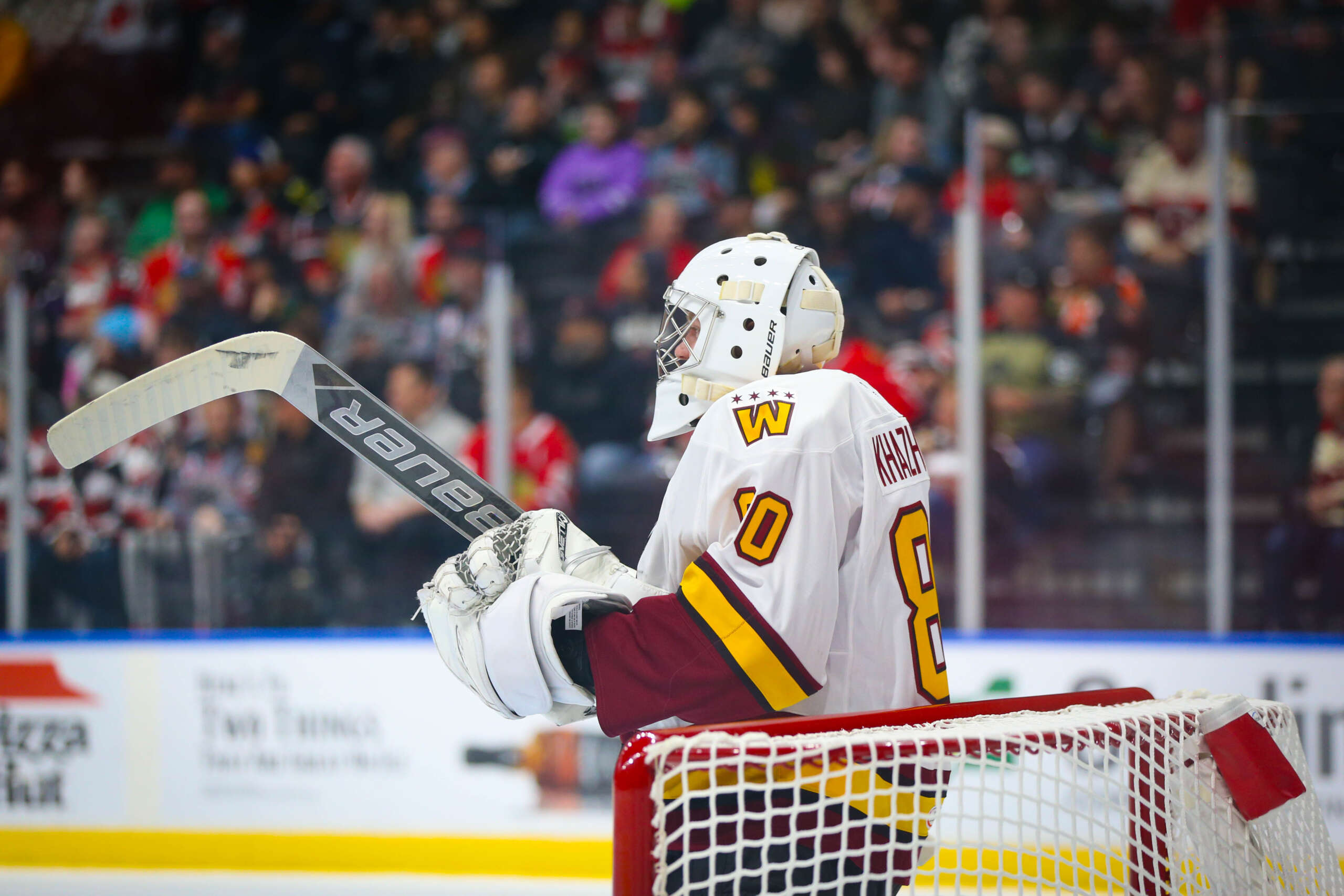 Chicago Wolves Hockey Photos At Allstate Arena