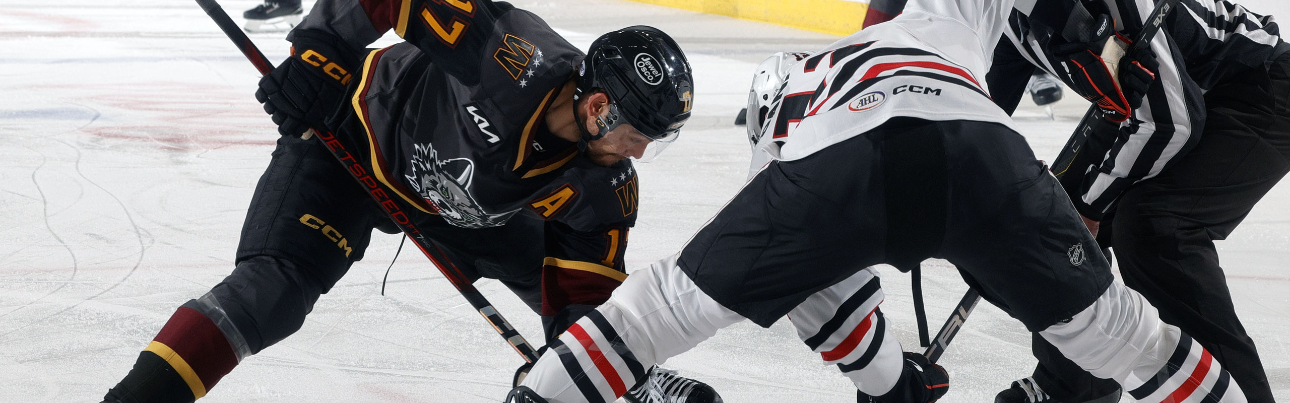 Game Highlights: Dec. 1 vs. Rockford IceHogs - Chicago Wolves