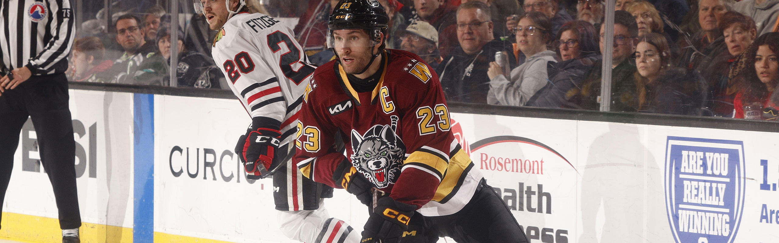 Game Highlights: Jan. 4 vs. Rockford IceHogs - Chicago Wolves