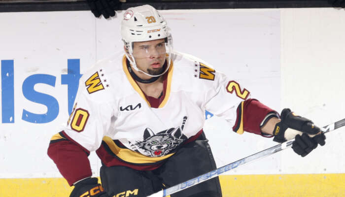 Photo Galleries | Chicago Ice Hockey Team - Chicago Wolves