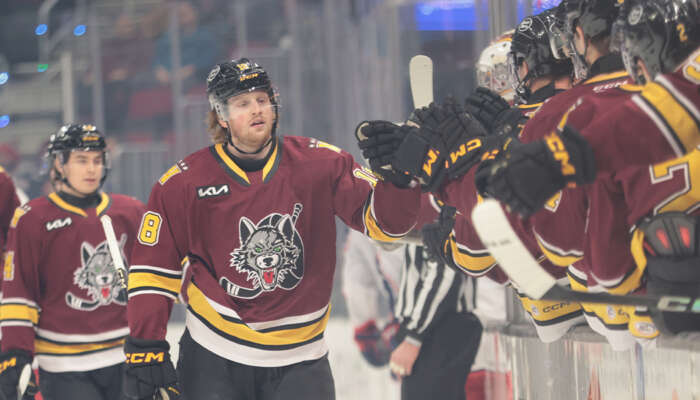 Press Releases - Chicago Wolves Hockey