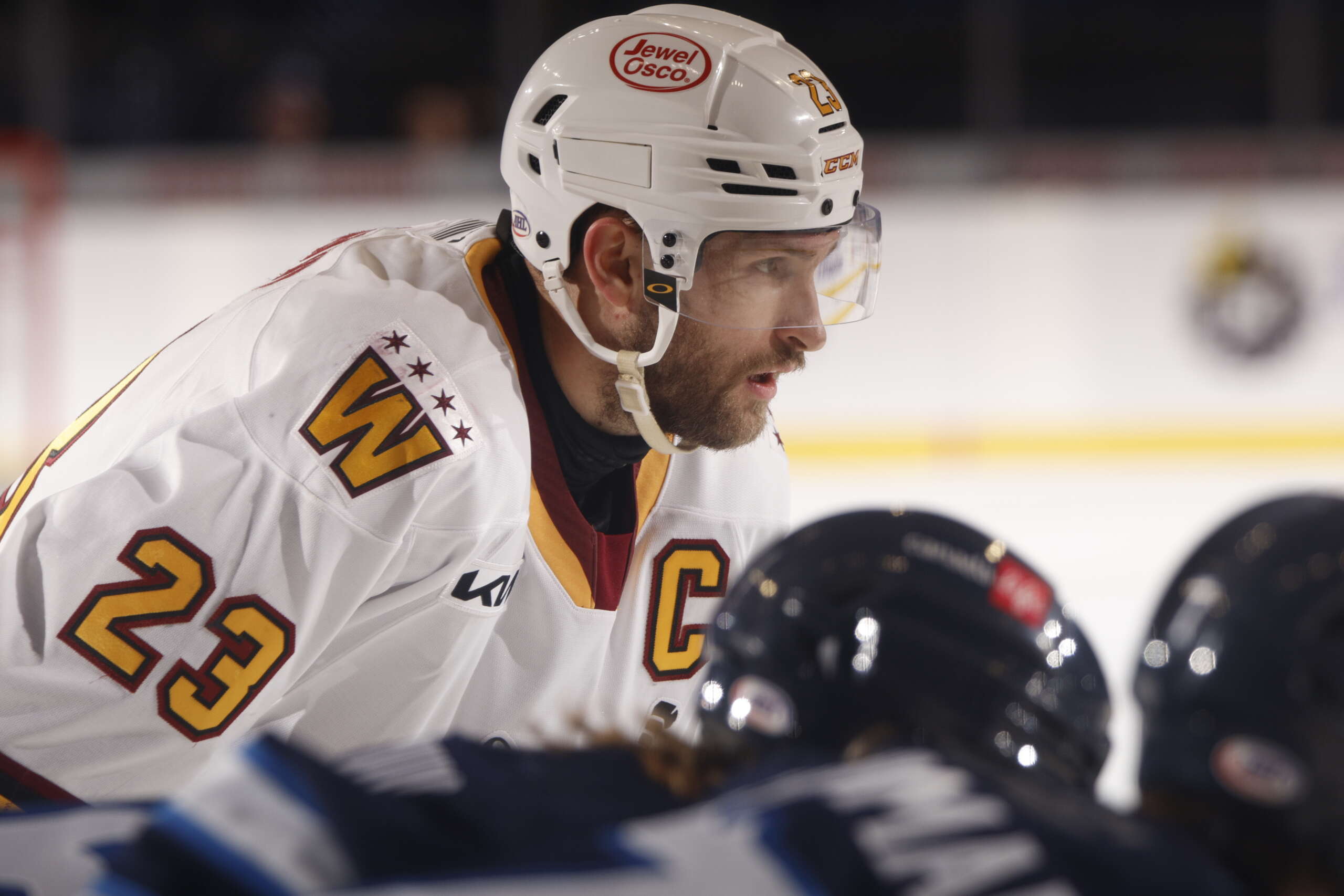 The Wolves' energizer - Chicago Wolves