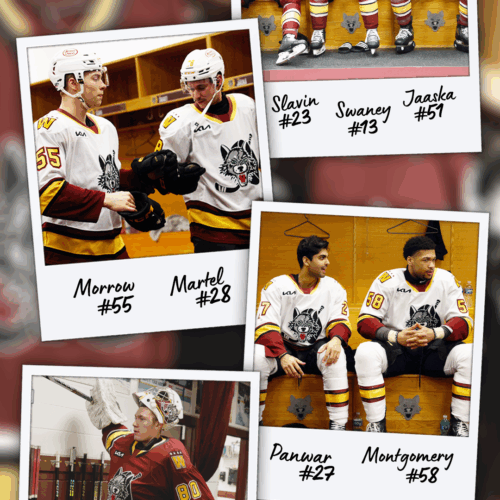 Free Desktop Wallpapers & Downloads - Chicago Wolves