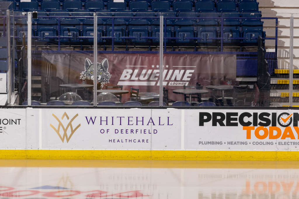 Chicago Wolves Group Tickets: Suites & Party Decks